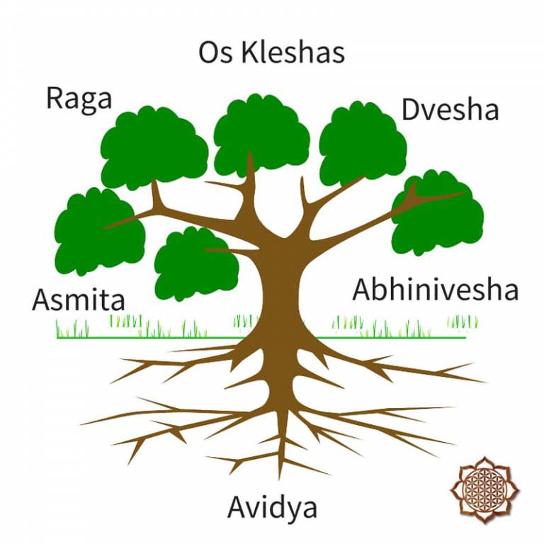Kleshas | Os Obstáculos No Caminho Do Yoga – Yoga Flor da Vida