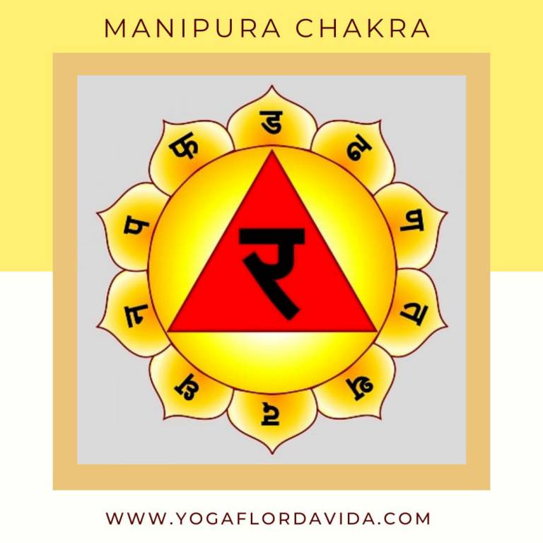 Os Chakras | Centros de Energia Vital | Yoga Flor da Vida